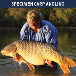 Fishalot Angling – Dive into the ultimate angling experience with Fishalot Angling —where every ...